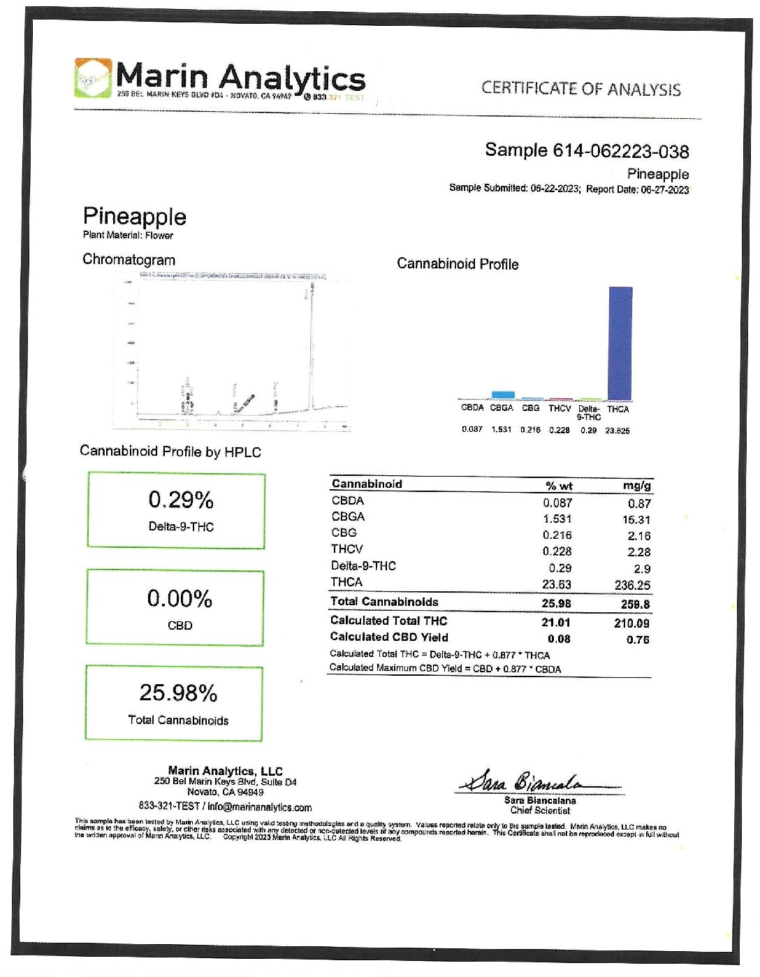 THCa Pineapple Express Flower and Blunt - Sativa - Your CBD Source